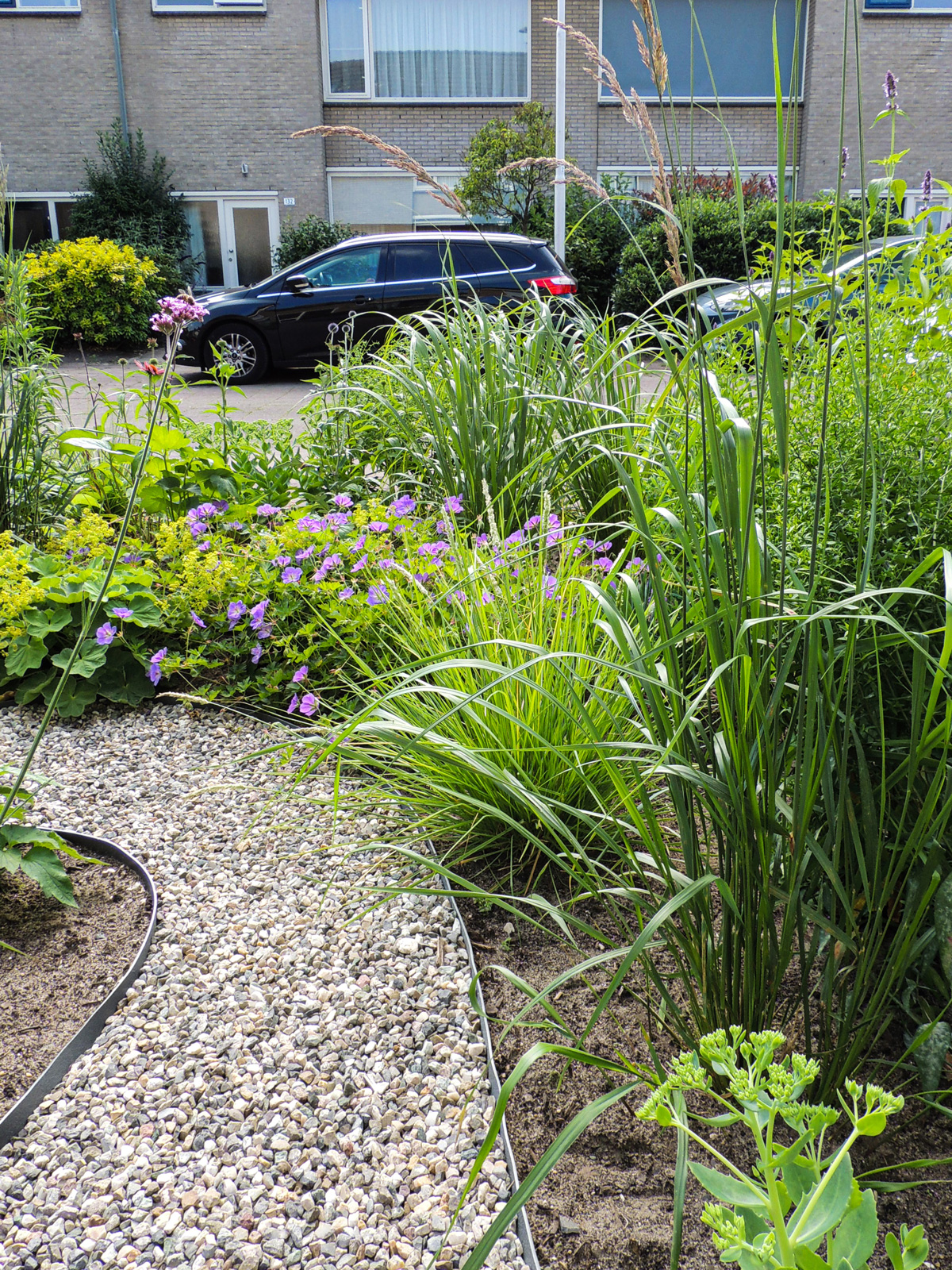 Droogtebestendige voortuin | Studio Nas