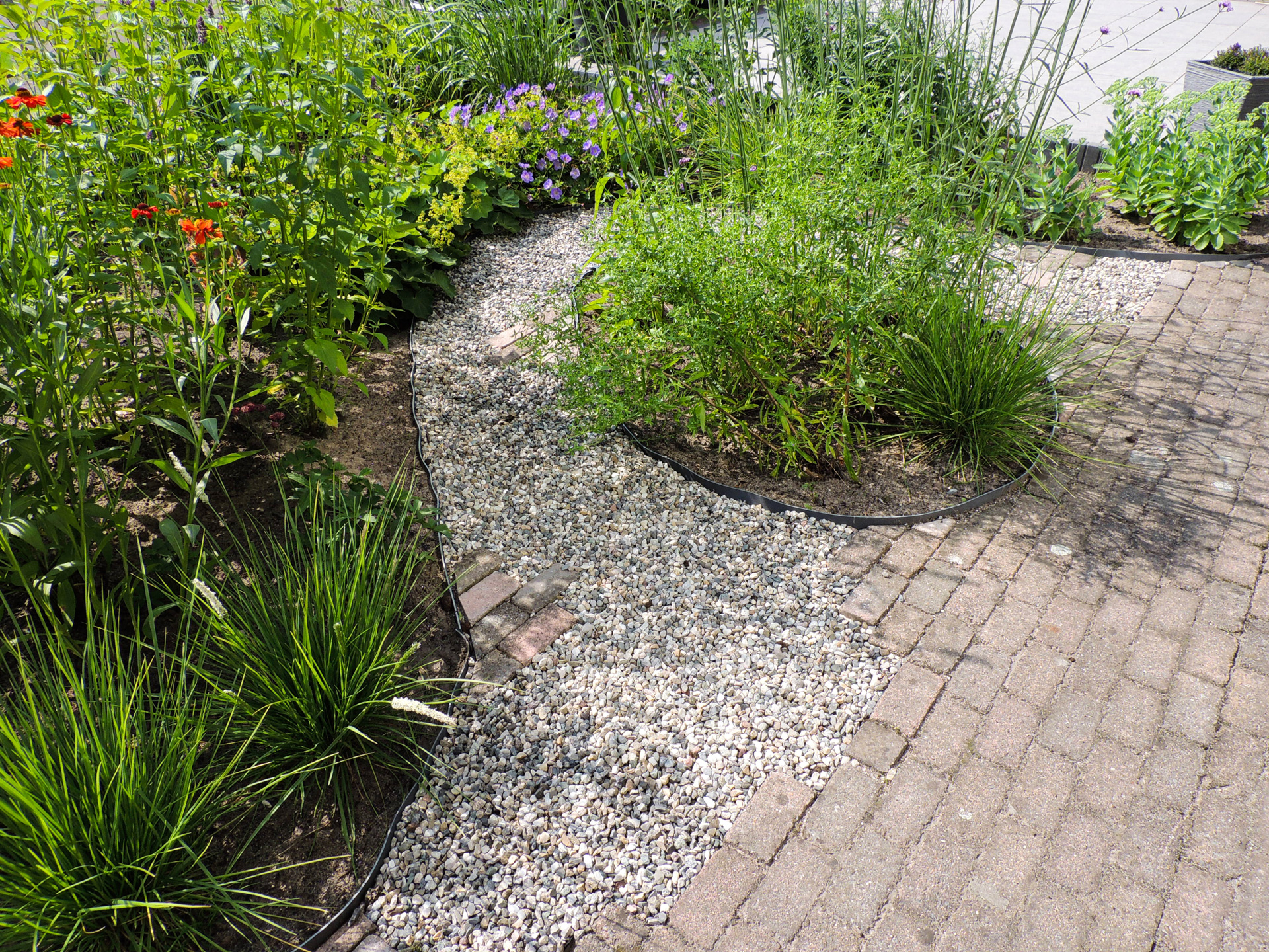 Droogtebestendige voortuin | Studio Nas