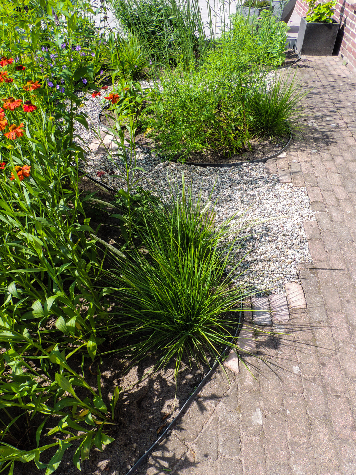 Droogtebestendige voortuin | Studio Nas